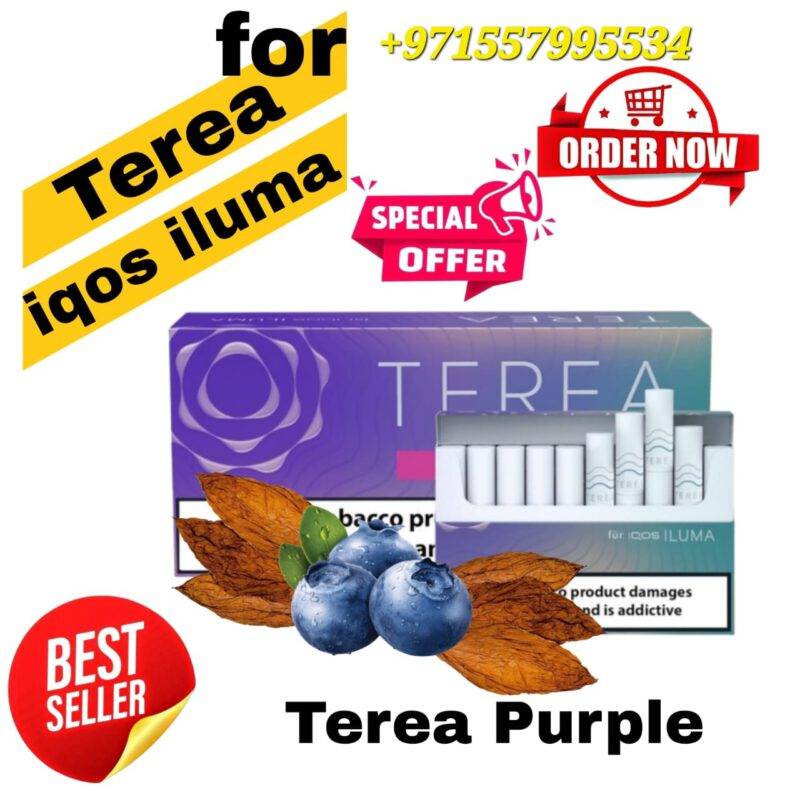 Best Terea Purple Wave for IQOS ILUMA in Dubai UAE
